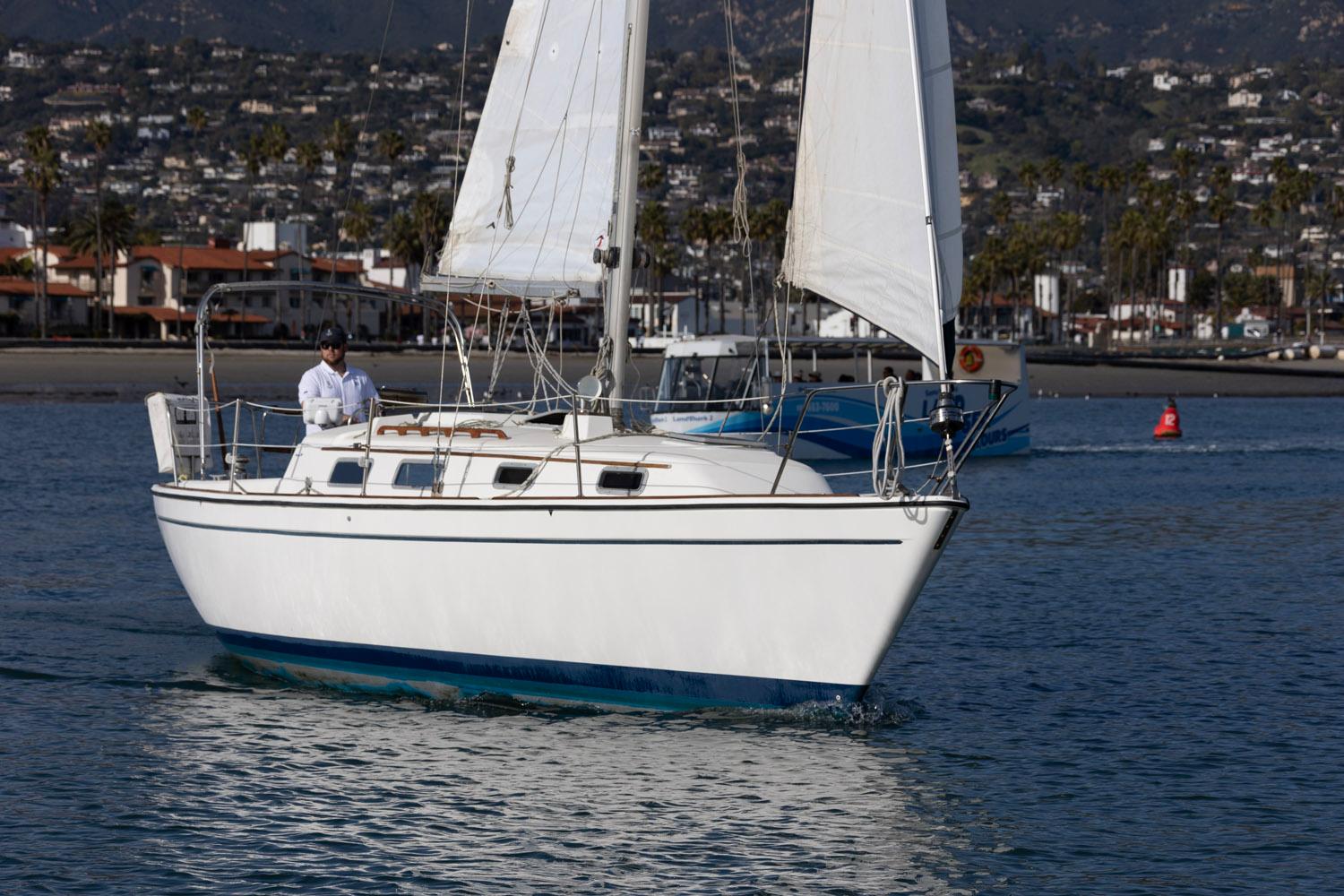 1985 Pearson 303 Pearson Segelyacht Kaufen - YachtWorld