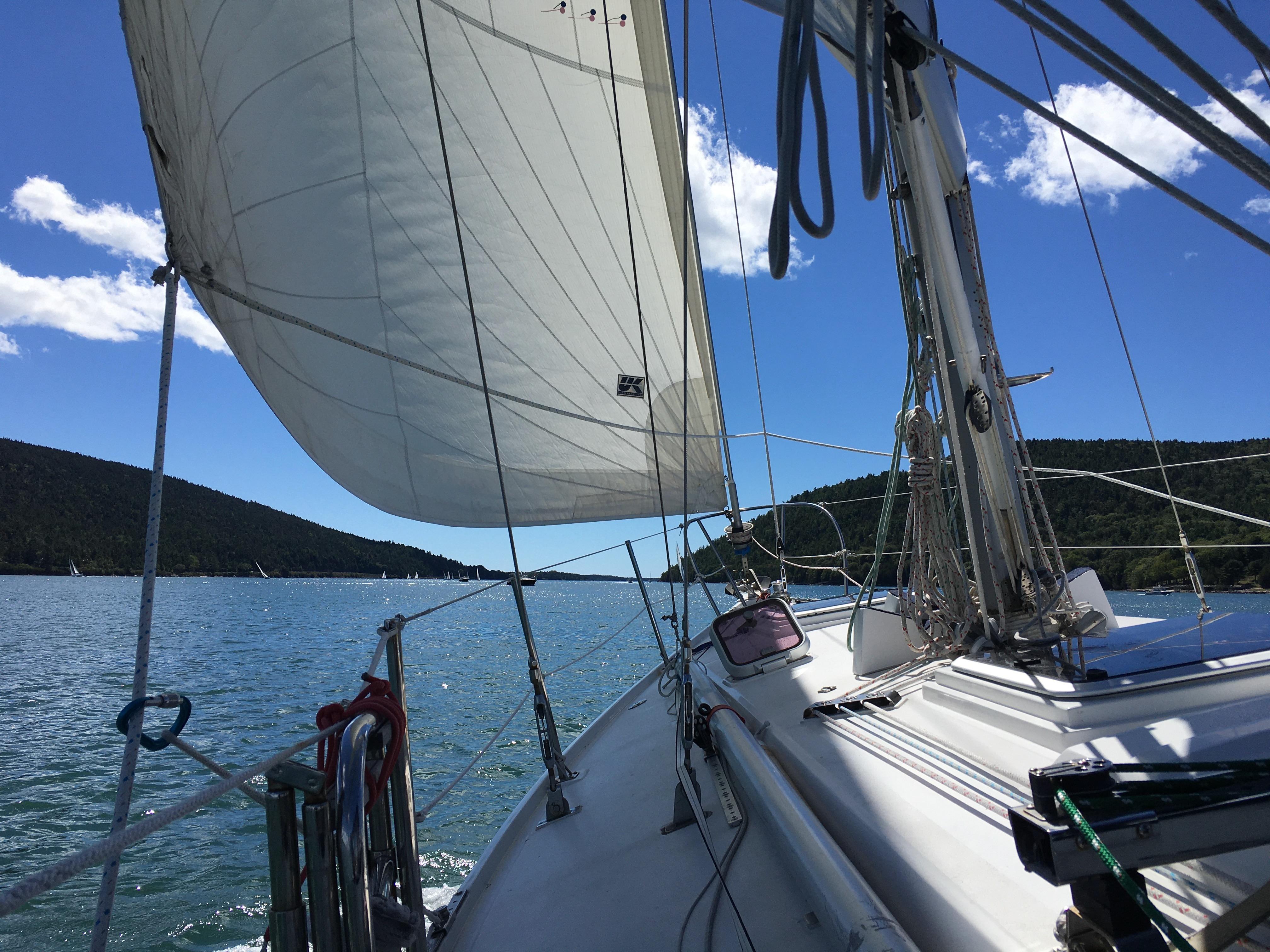 1972 Ericson 39 Flushdeck Racer/ Cruiser Segelboote Kaufen - YachtWorld