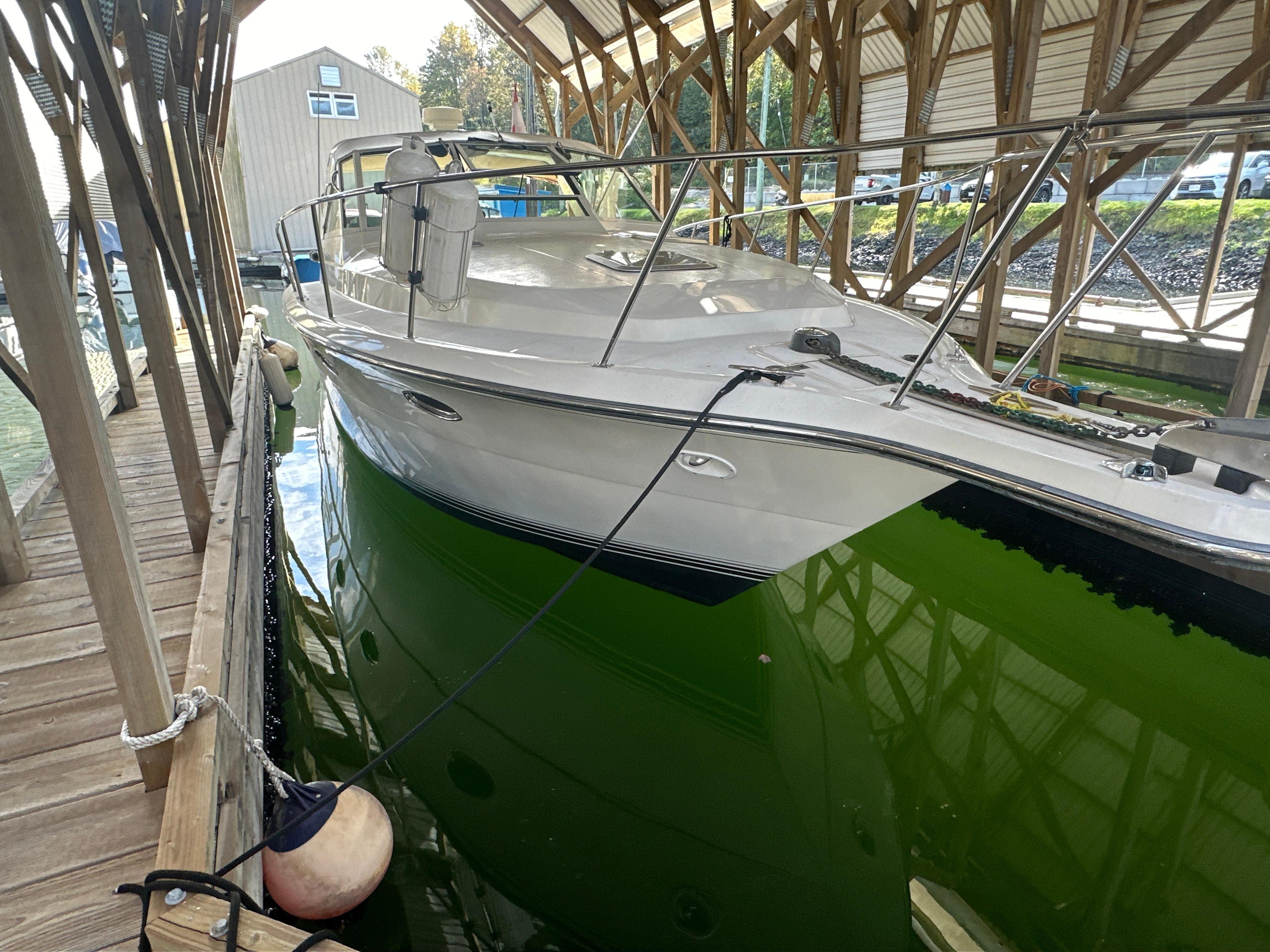 1988 Tiara Yachts 3300 Open Express Cruiser for sale - YachtWorld