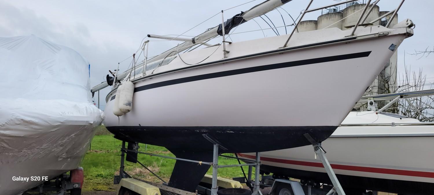Used 1982 Edel 730 - 10 - Aube | Youboat