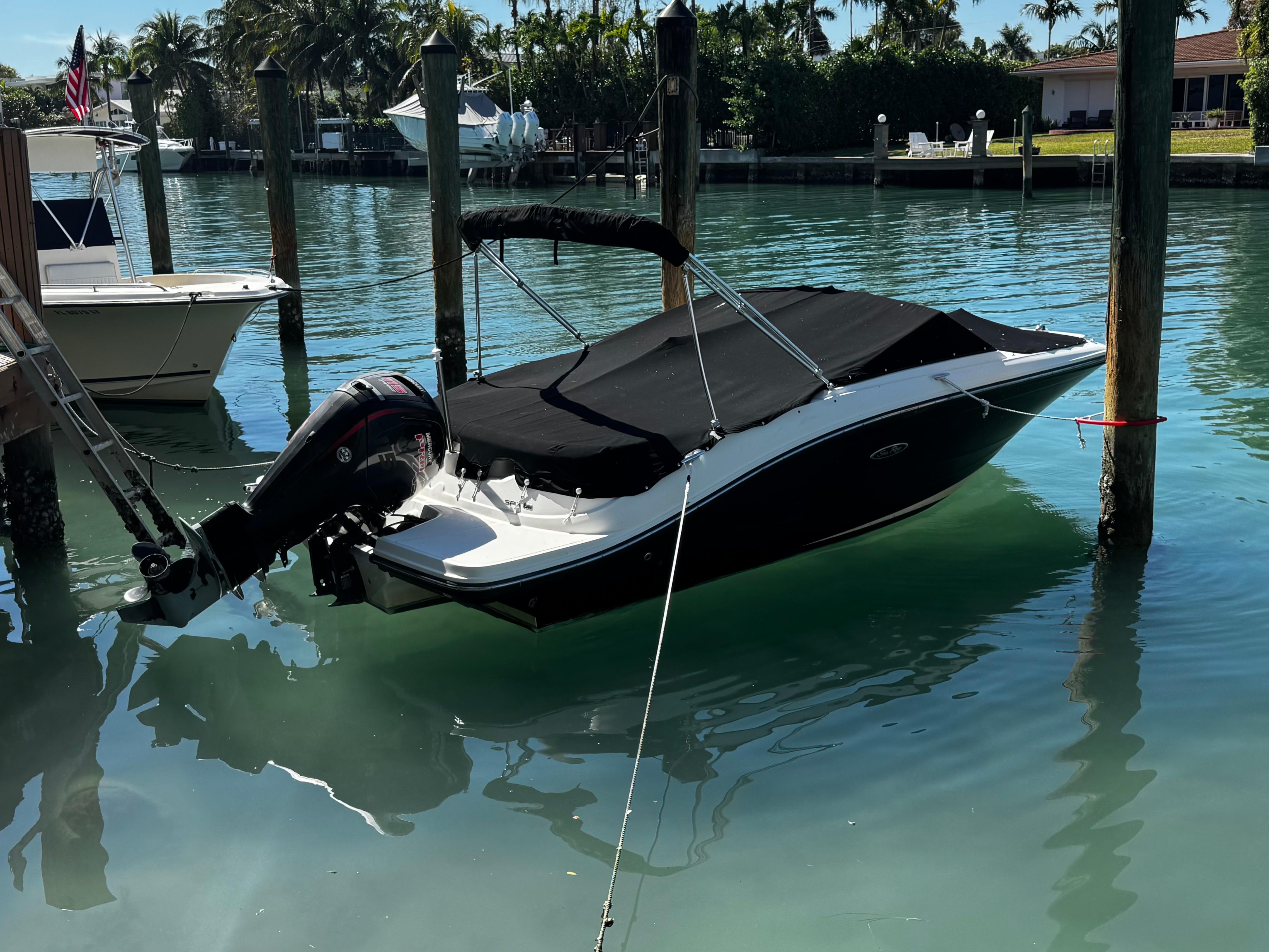 2019 Sea Ray SPX 190 Outboard Bowrider for sale - YachtWorld