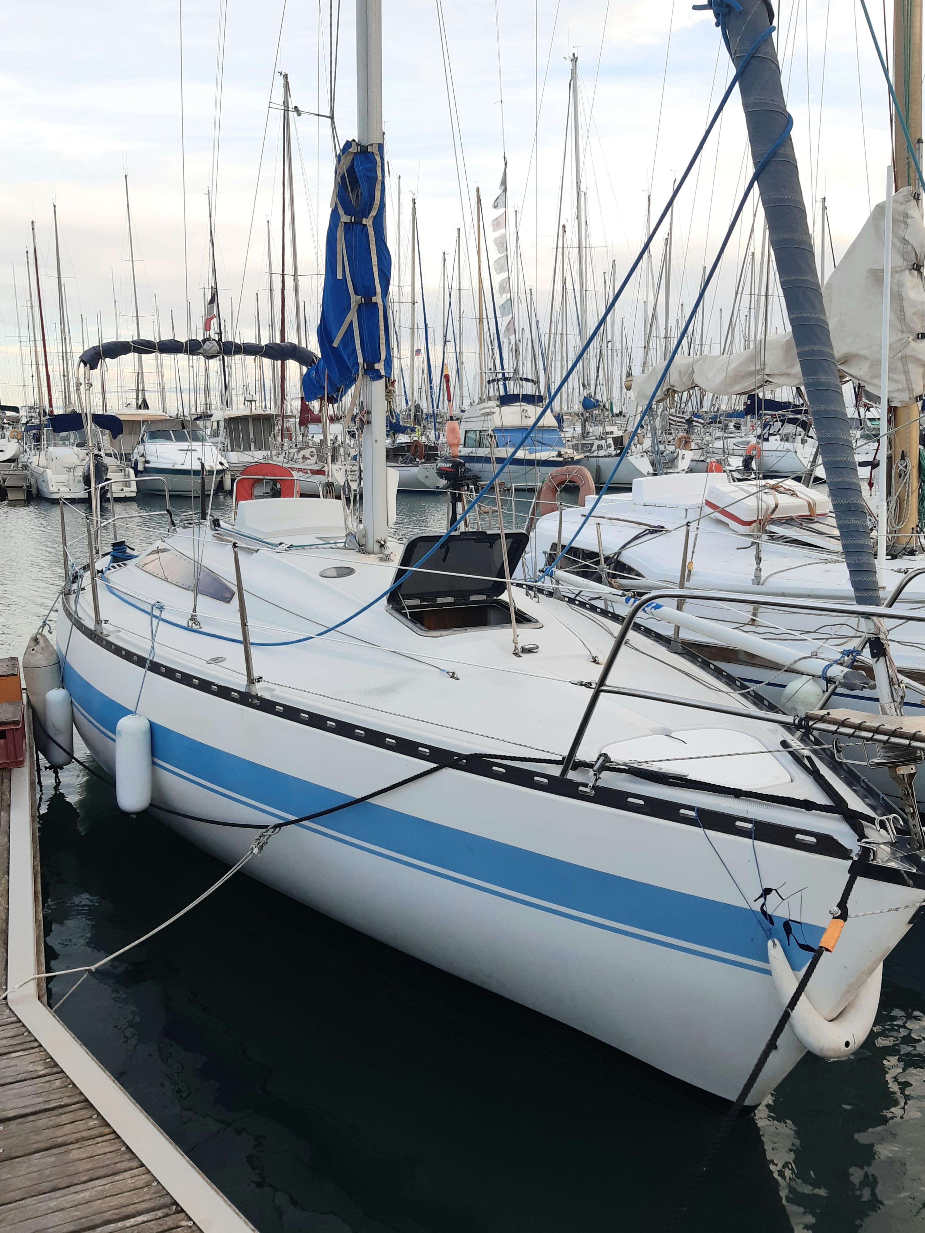 Used 1981 Neptune TRIDENT 80 - 34 - Hérault | TopBoats