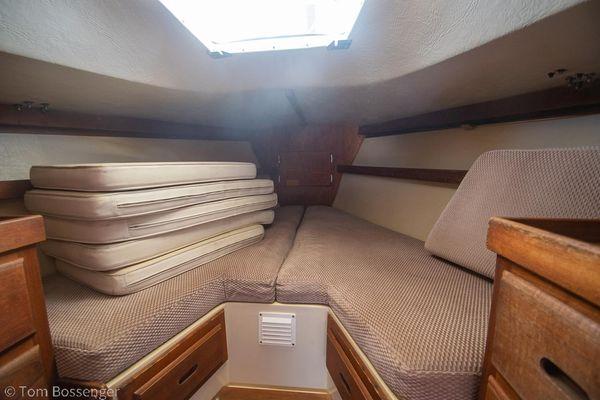 1985 Catalina 38 Slup Kaufen - YachtWorld