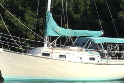 1990 Island Packet 27 Cruiser for sale - YachtWorld