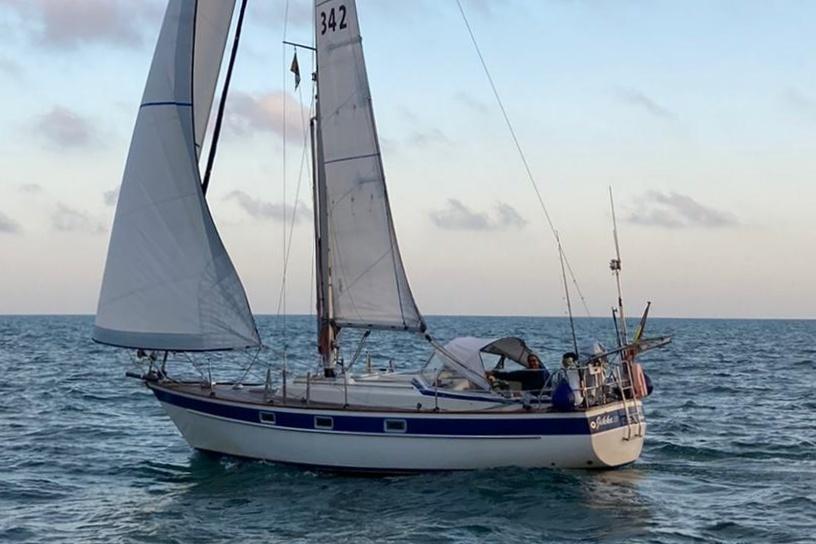 Used 1984 Hallberg-Rassy Hallberg Rassy 312 | TopBoats