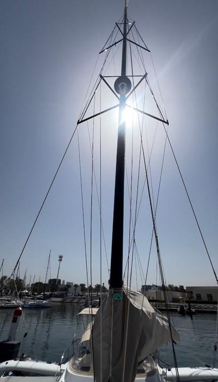 2023 Dragonfly 40 Performance Trimaran for sale - YachtWorld