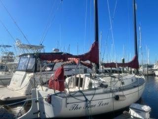 1981 Freedom 33 Cat Ketch Ketsch Kaufen - YachtWorld