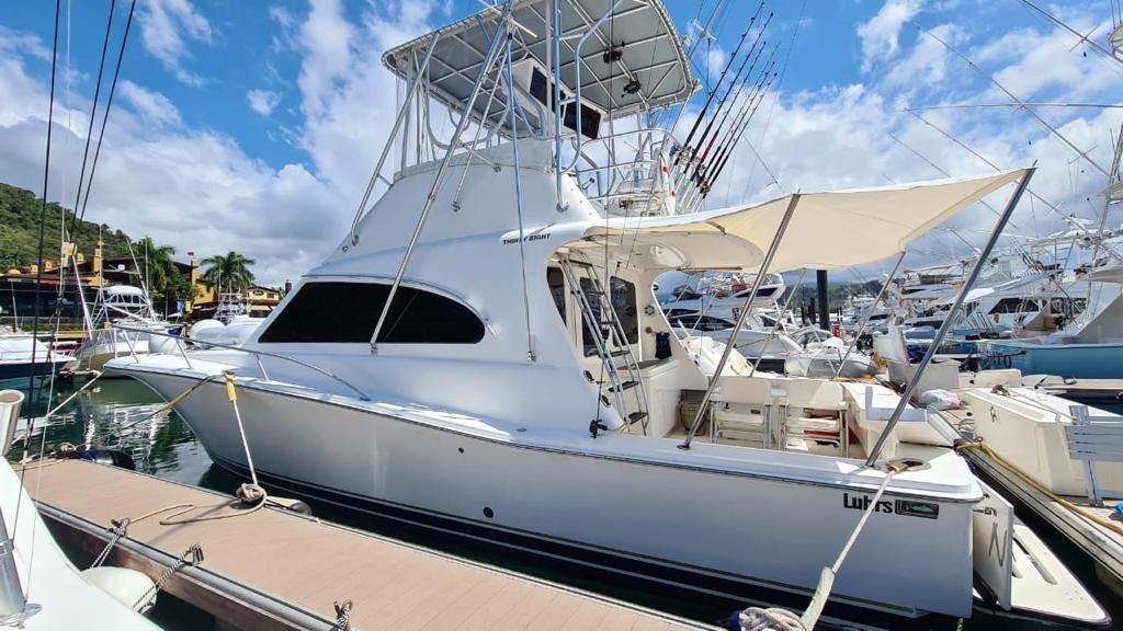 2005 Luhrs 38 Convertible Saltwater Fishing for sale - YachtWorld