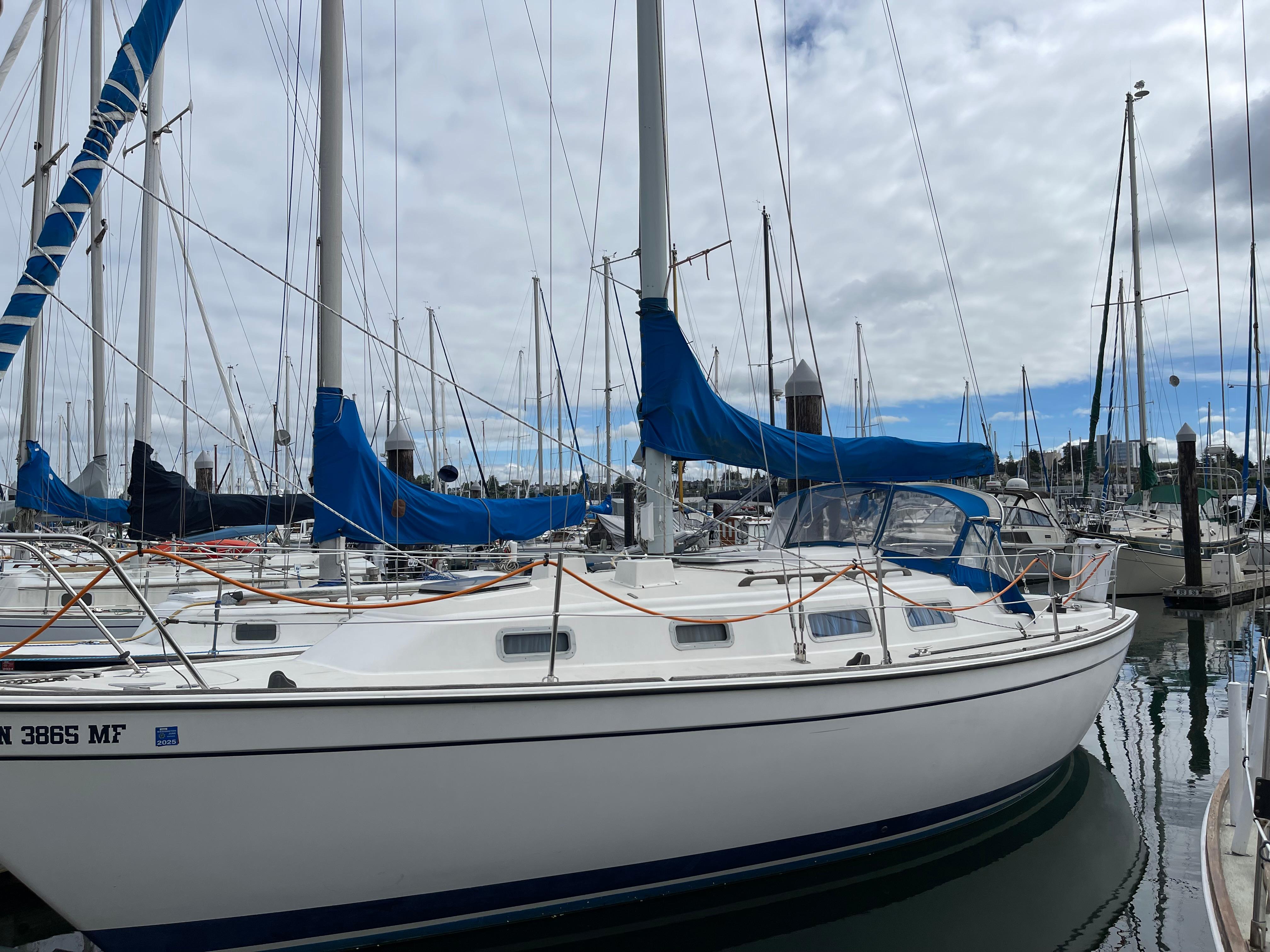 1983 Pearson P-303 Barcos de paseo en venta - YachtWorld