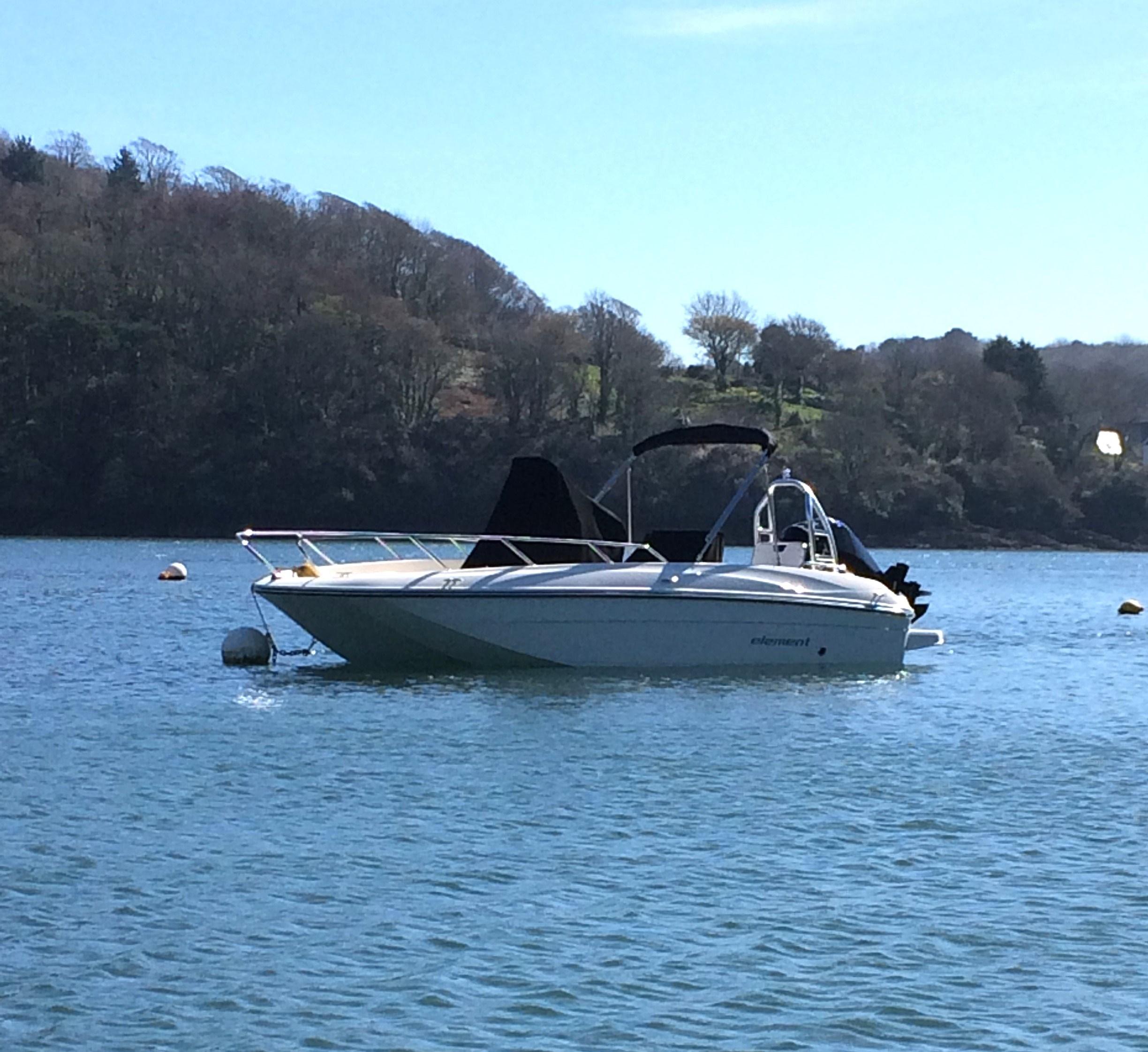 Bayliner Element CC6 | 6m | 2017 - Cornwall | Boats and Outboards