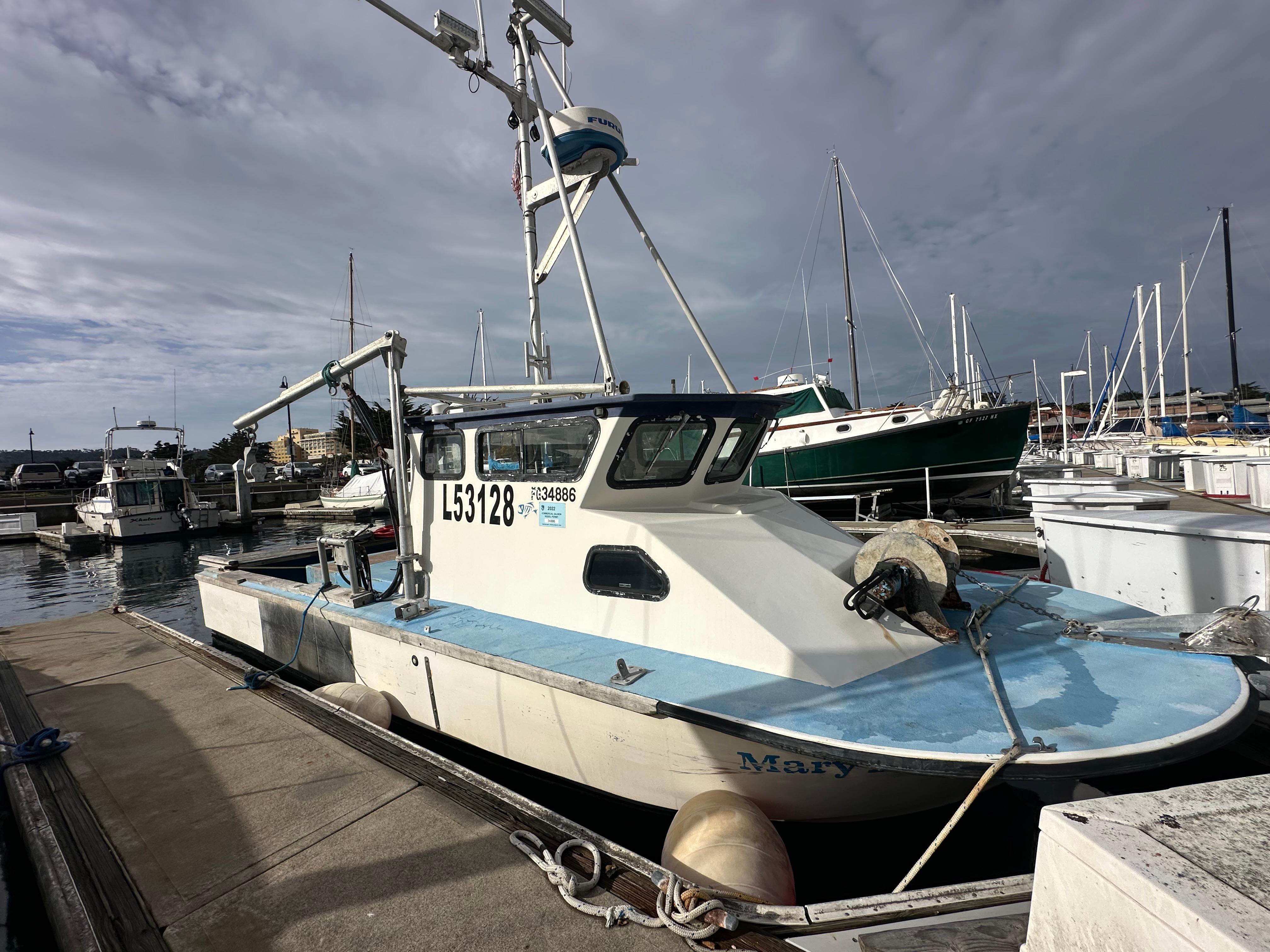 Radon boats for sale | YachtWorld