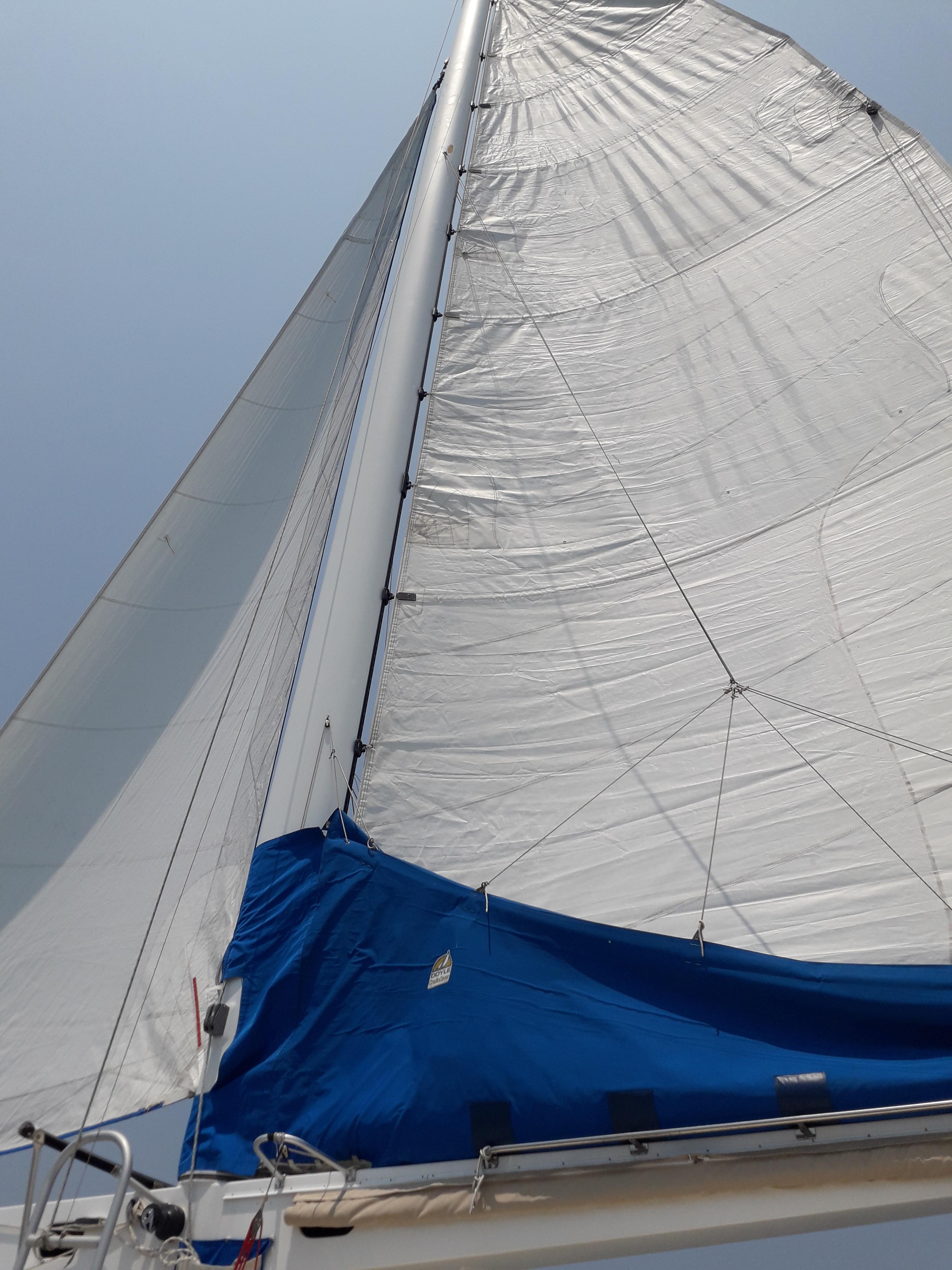 2012 Custom Roake 50 Catamaran for sale - YachtWorld