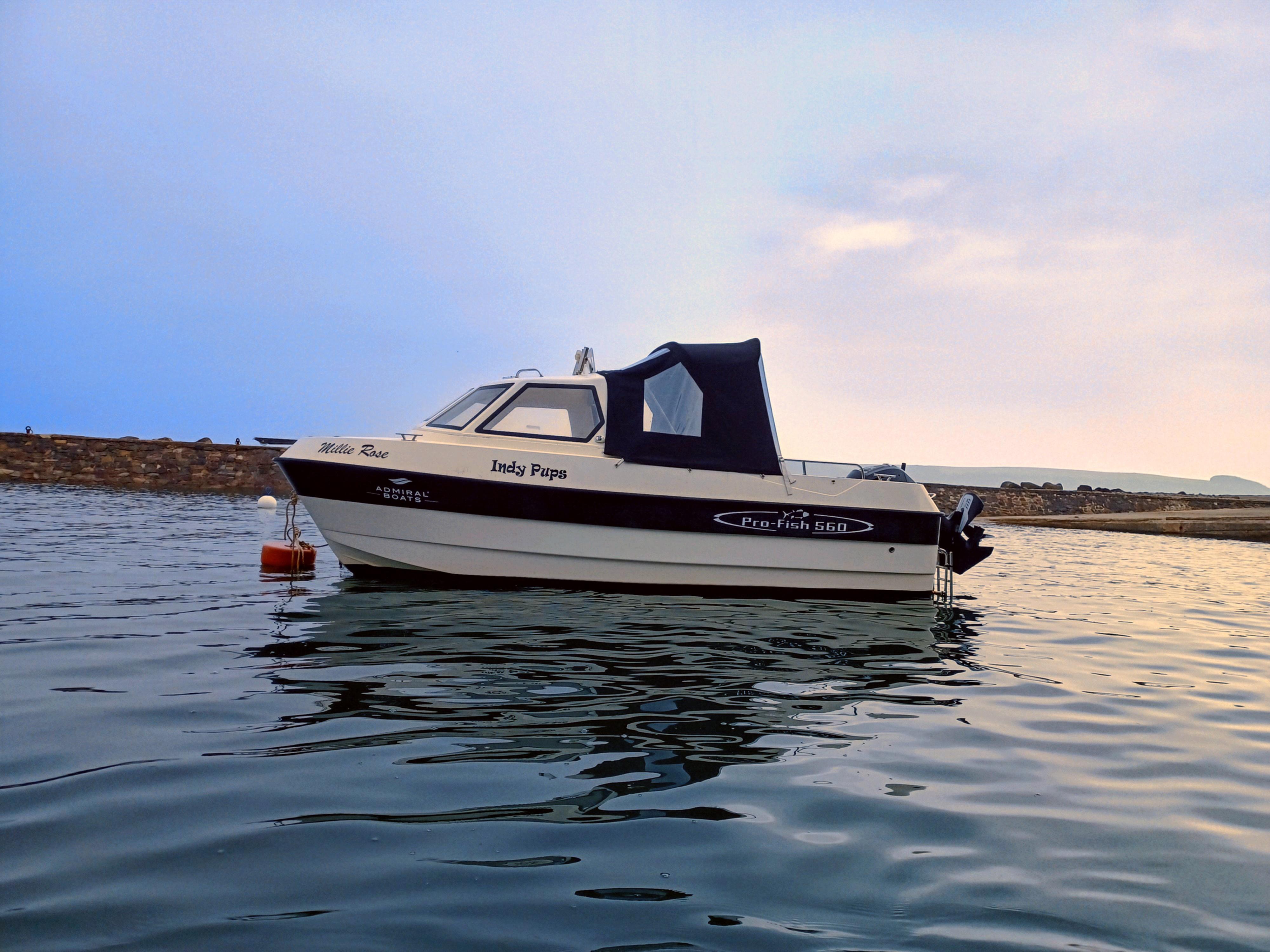 New and used boats for sale | Boats and Outboards