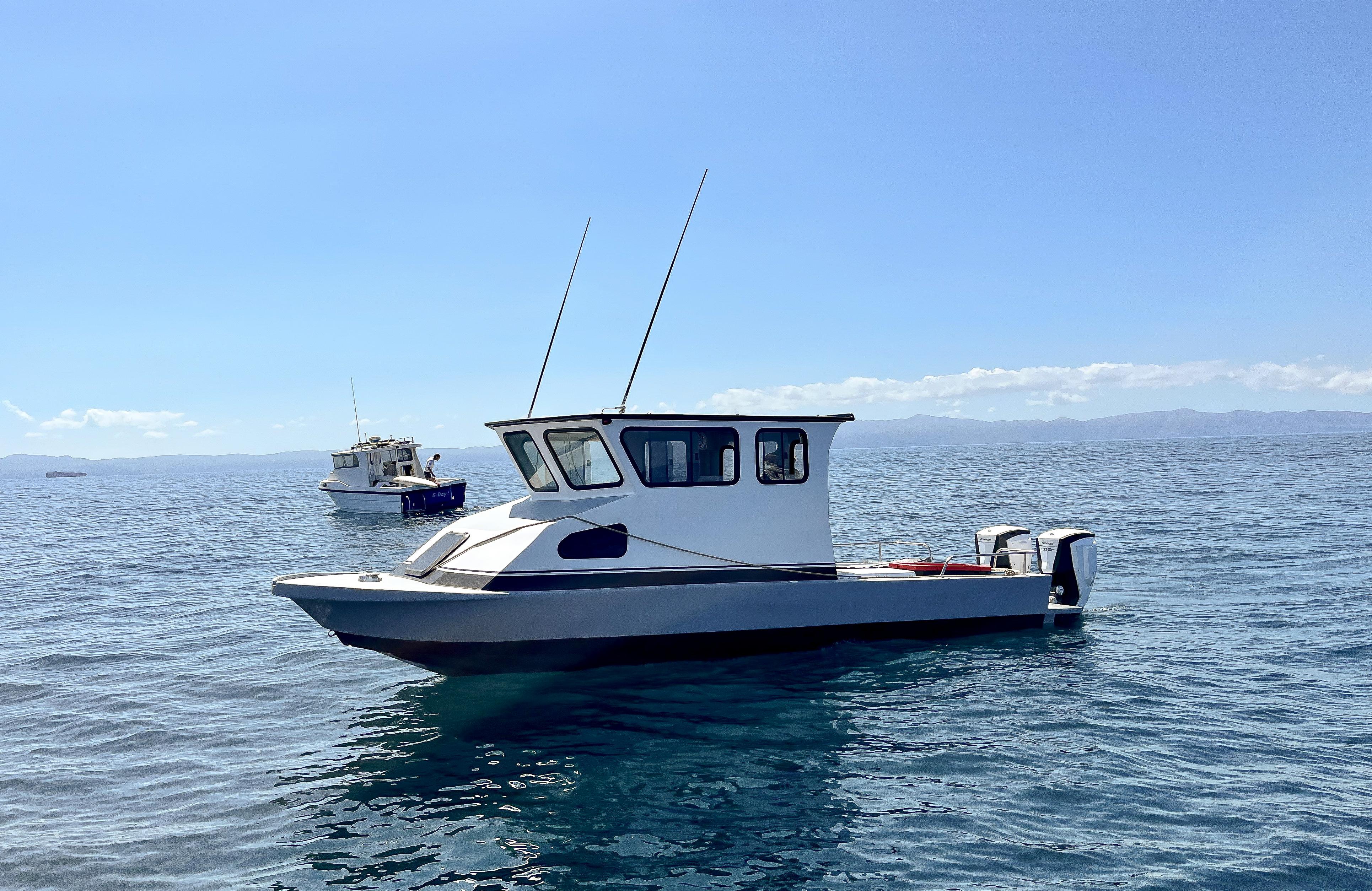 1973 Radon 29 Custom Extension Express Cruiser for sale - YachtWorld