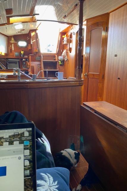 1988 Shannon 43 Cruiser for sale - YachtWorld