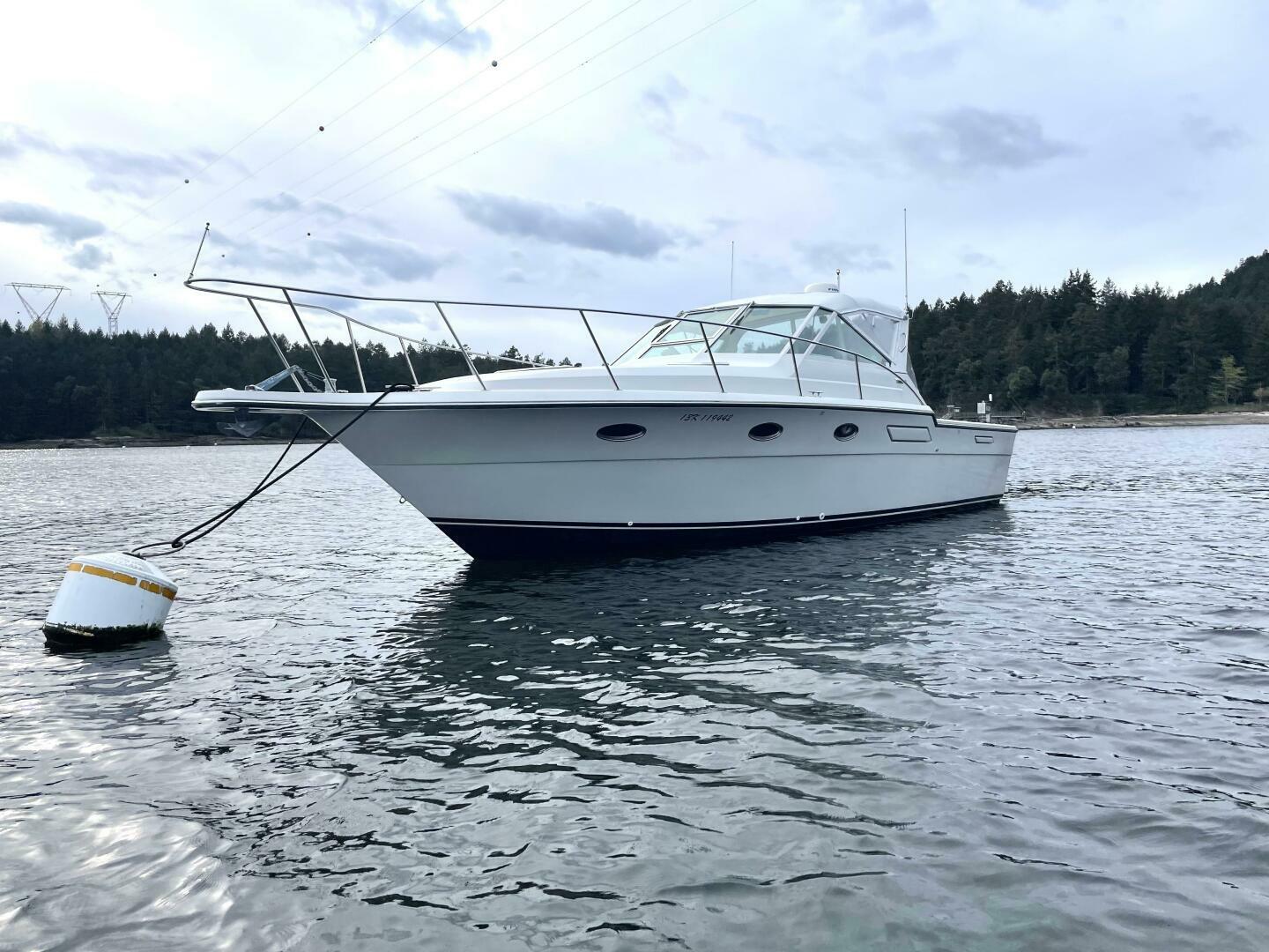 1988 Tiara Yachts 3300 Open Kruisers te koop- YachtWorld