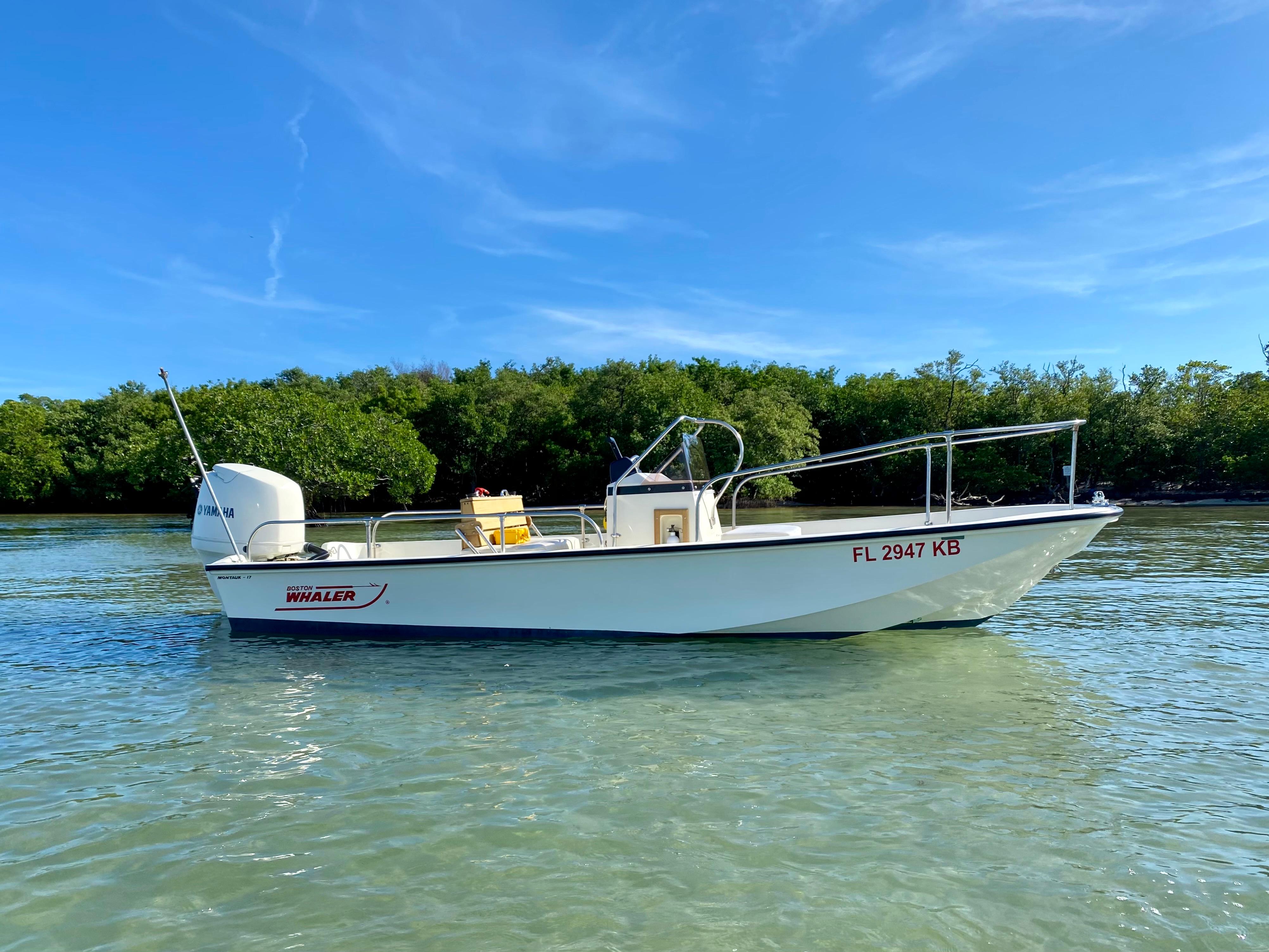 1987 Boston Whaler 17 Montauk Centre Console for sale - YachtWorld