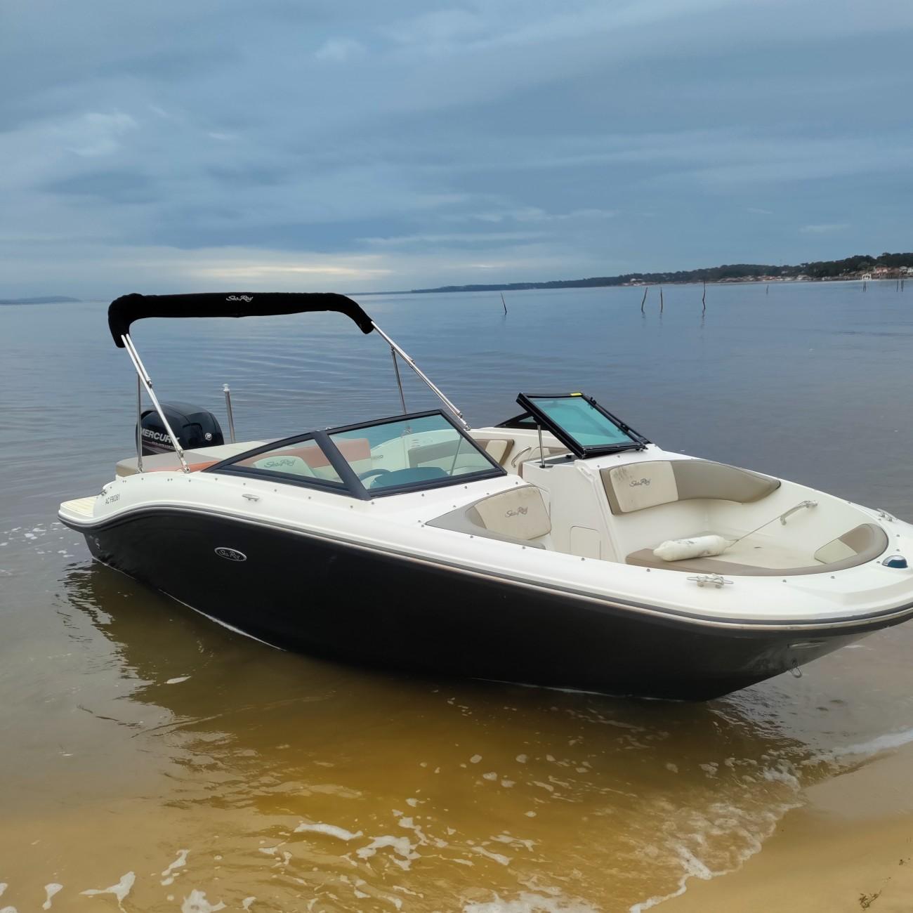 Used 2017 Sea Ray Sea Ray 19 SPX OB - 11 - Aude | TopBoats