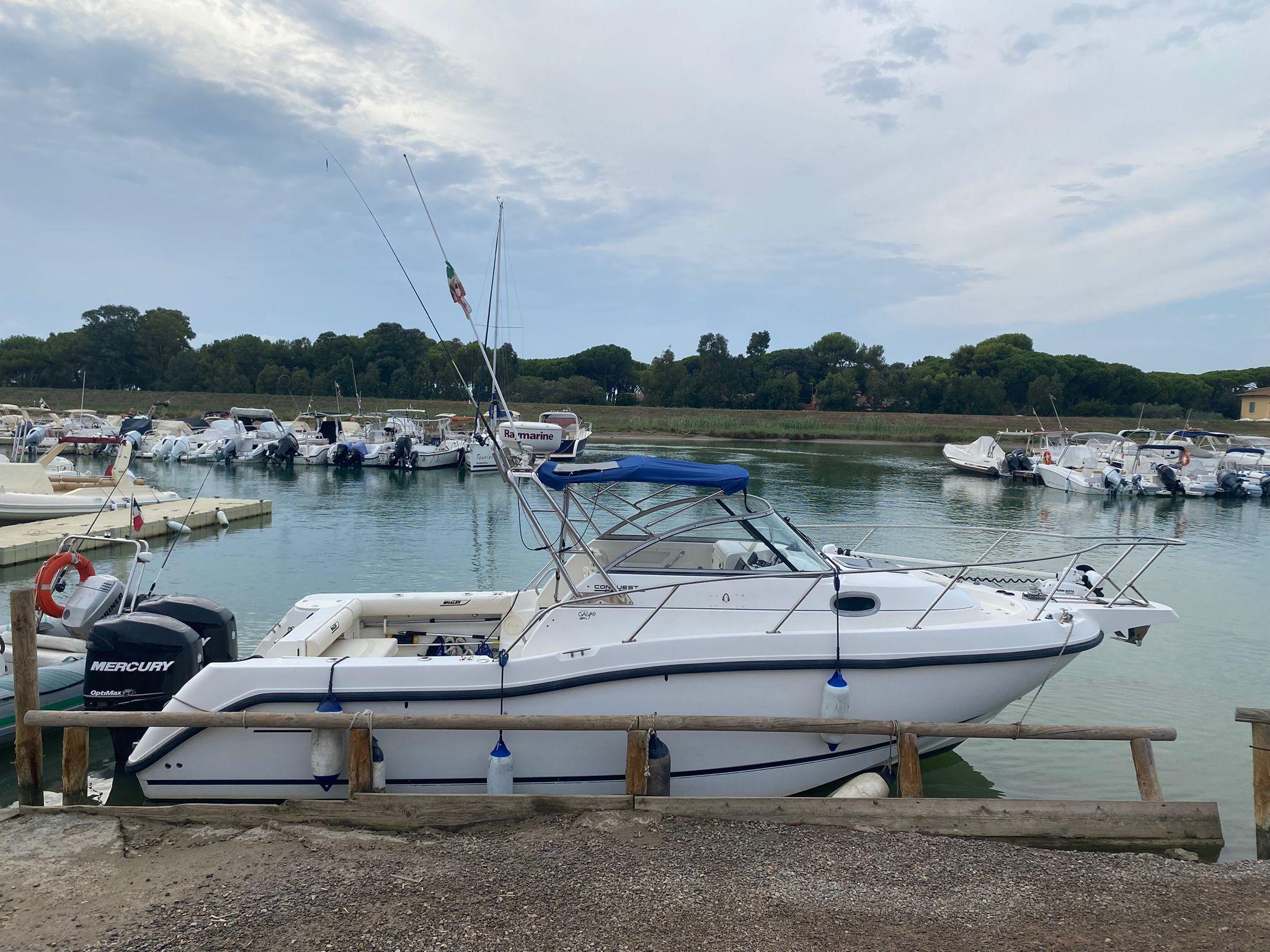 Used Boston Whaler 255 Conquest in Grosseto - iNautia