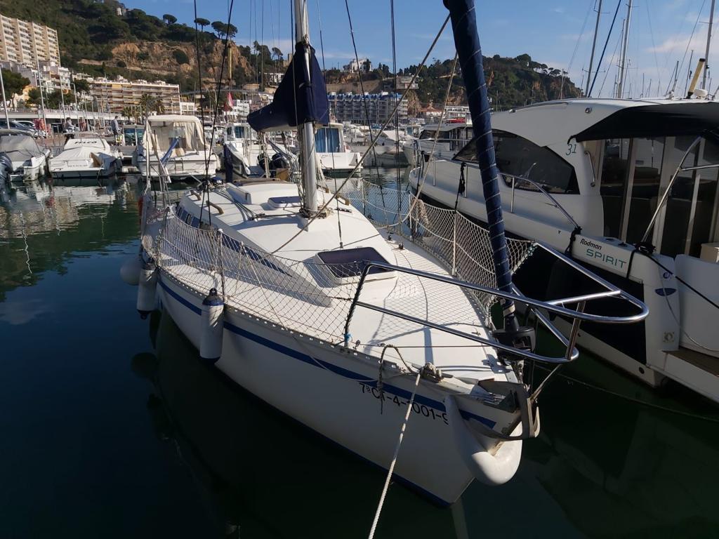 Used 1992 Furia 302 - Barcelona | TopBoats
