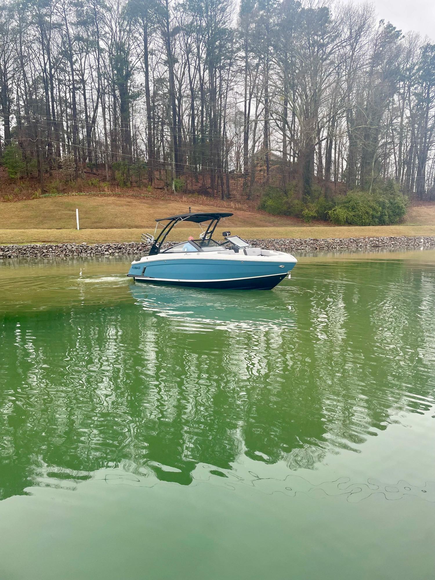 2024 Cobalt R4 Surf Bowrider for sale - YachtWorld