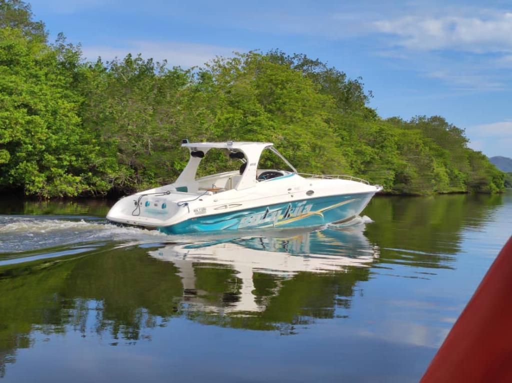2011 Fountain Express Cruiser Personal Watercraft for sale - YachtWorld