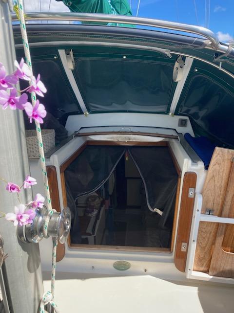 1976 Pearson 365 Pearson Cruiser for sale - YachtWorld