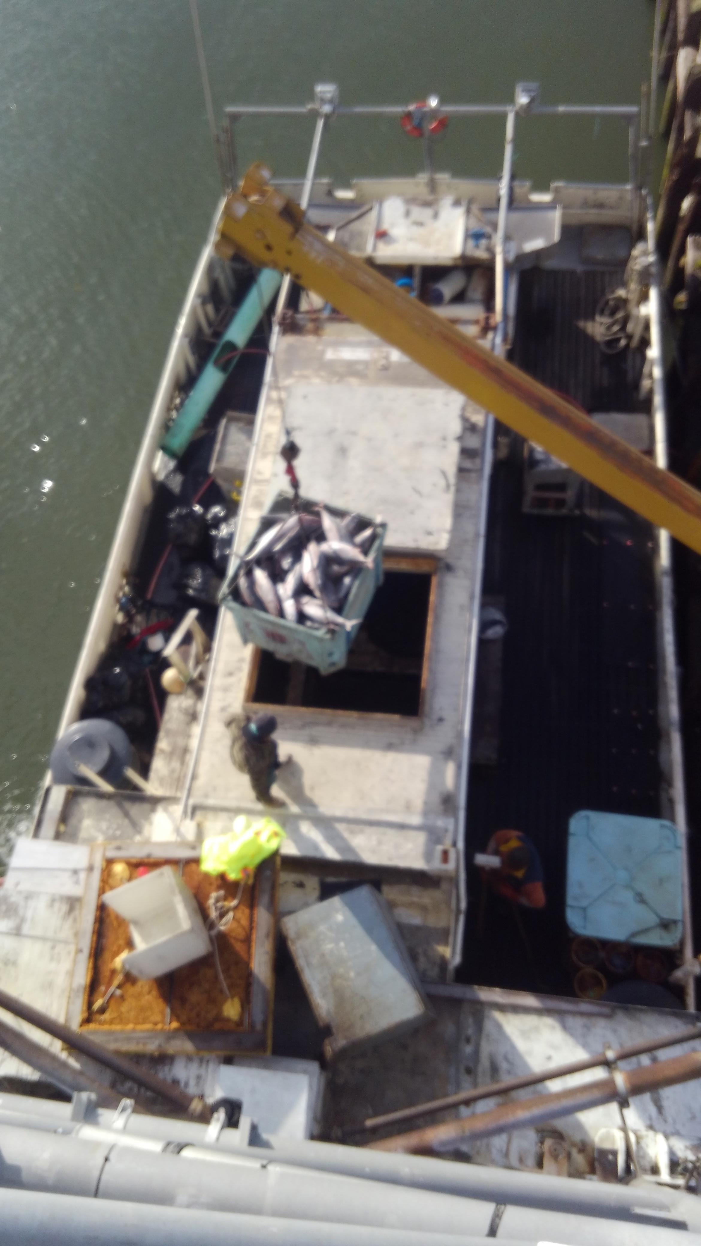 1979 Custom ALBACORE TROLLER Commercial for sale - YachtWorld