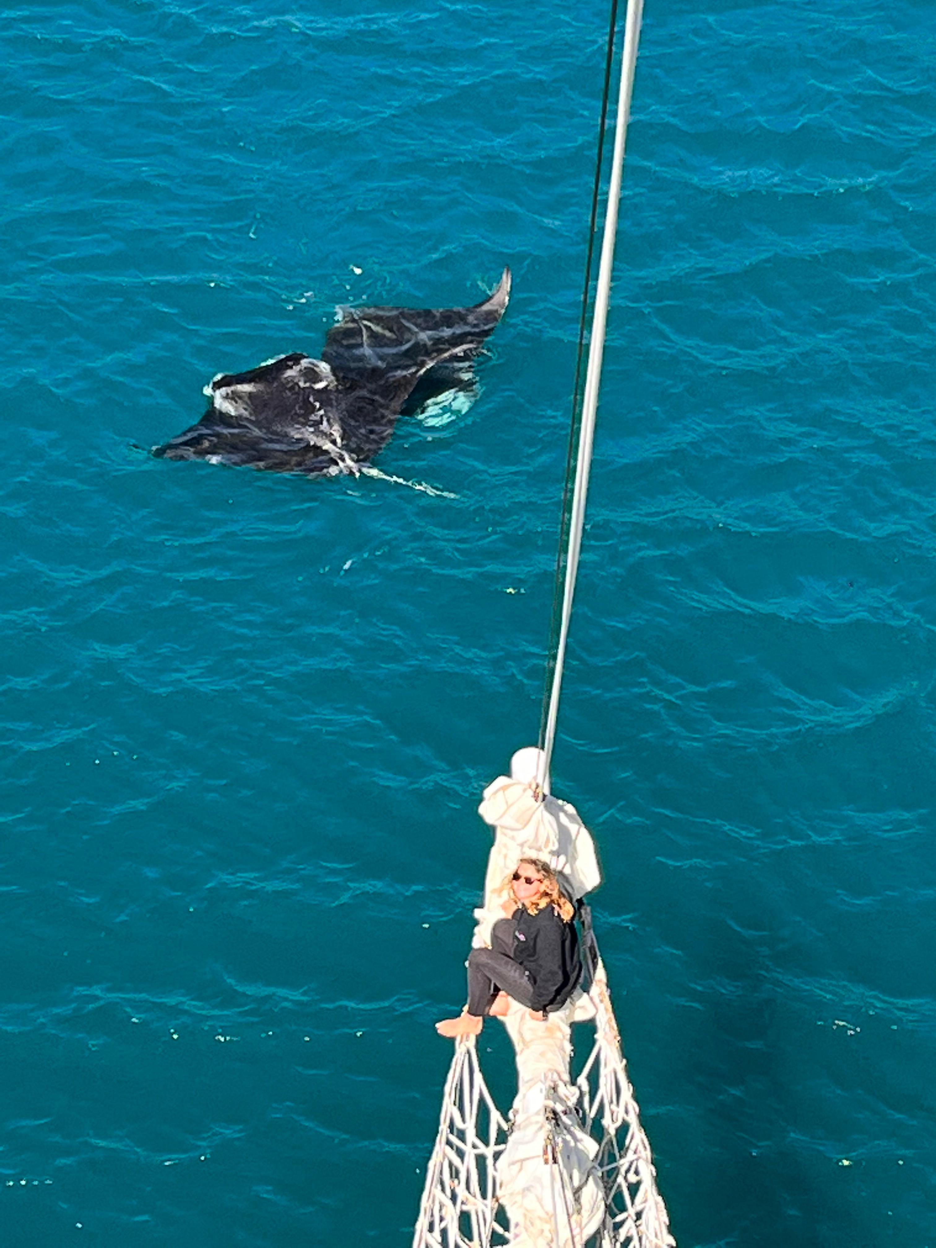 Solway Lass Motorsailer Custom for sale - YachtWorld