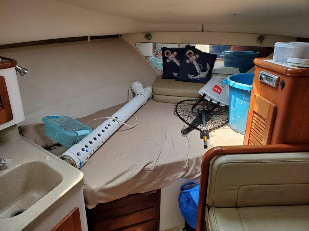 1999 Pursuit 3000 Express Express Cruiser for sale - YachtWorld