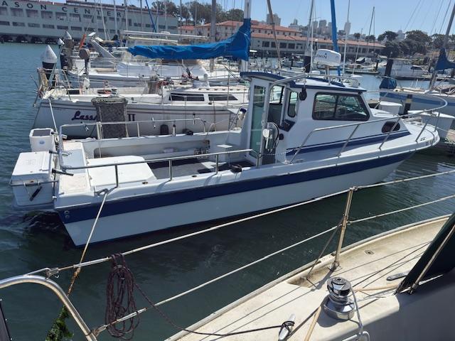 2007 Radon signature 26 Saltwater Fishing for sale - YachtWorld