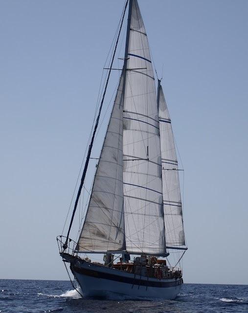 Formosa 51 boats for sale | YachtWorld