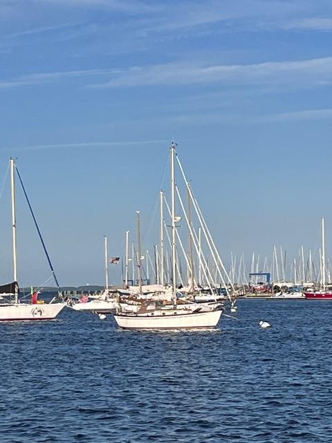 Shannon 28 boats for sale | YachtWorld