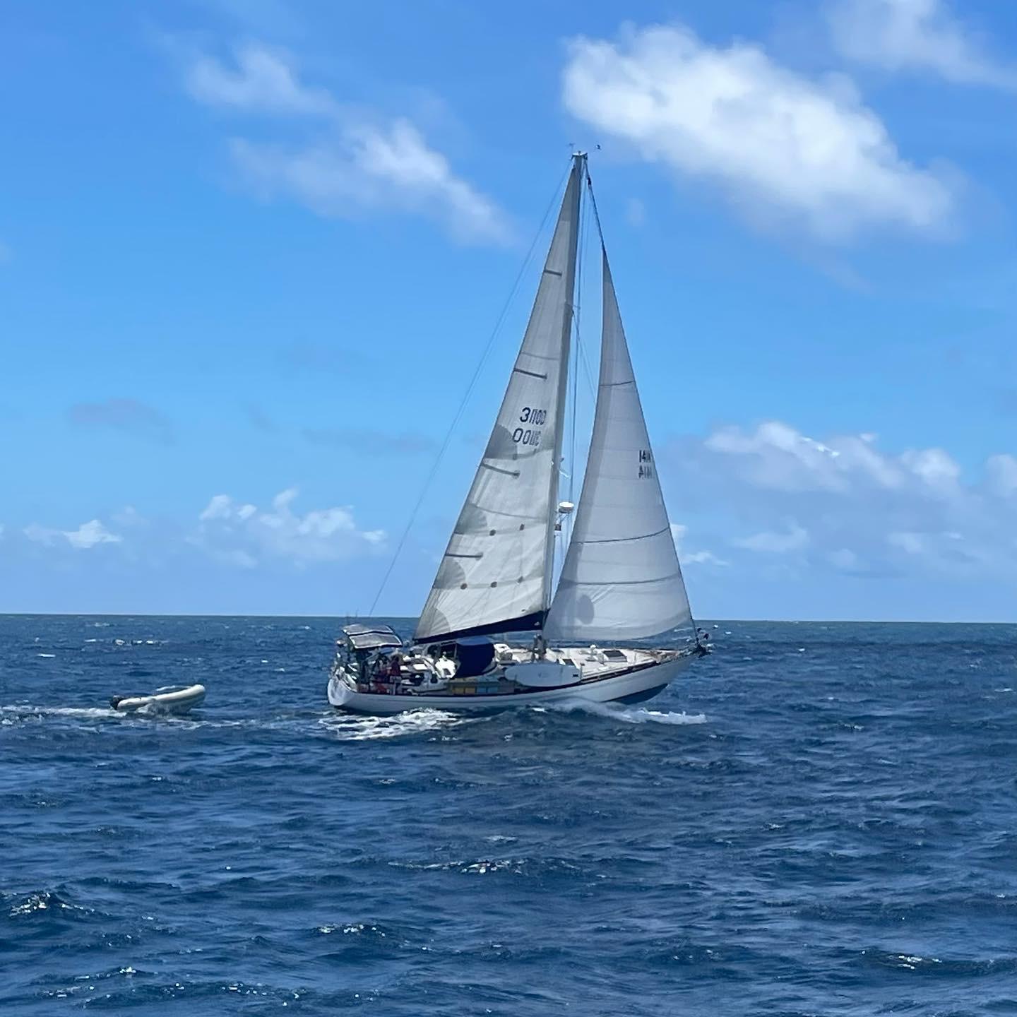 1981 Albin Nimbus Cruiser for sale - YachtWorld