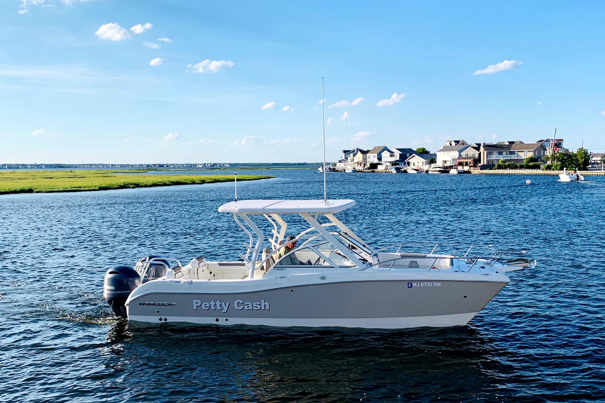 2020 World Cat 255 DC Power Catamaran for sale - YachtWorld